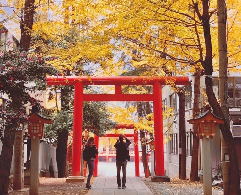 Let's Visit Japanese Shinto Shrines! Learn the Proper Etiquette for Worship